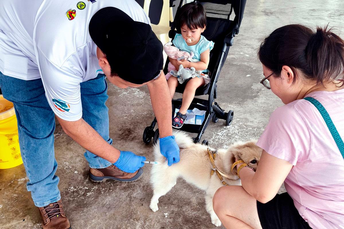 Over 278,000 animals vaccinated in Sarawak’s rabies fight