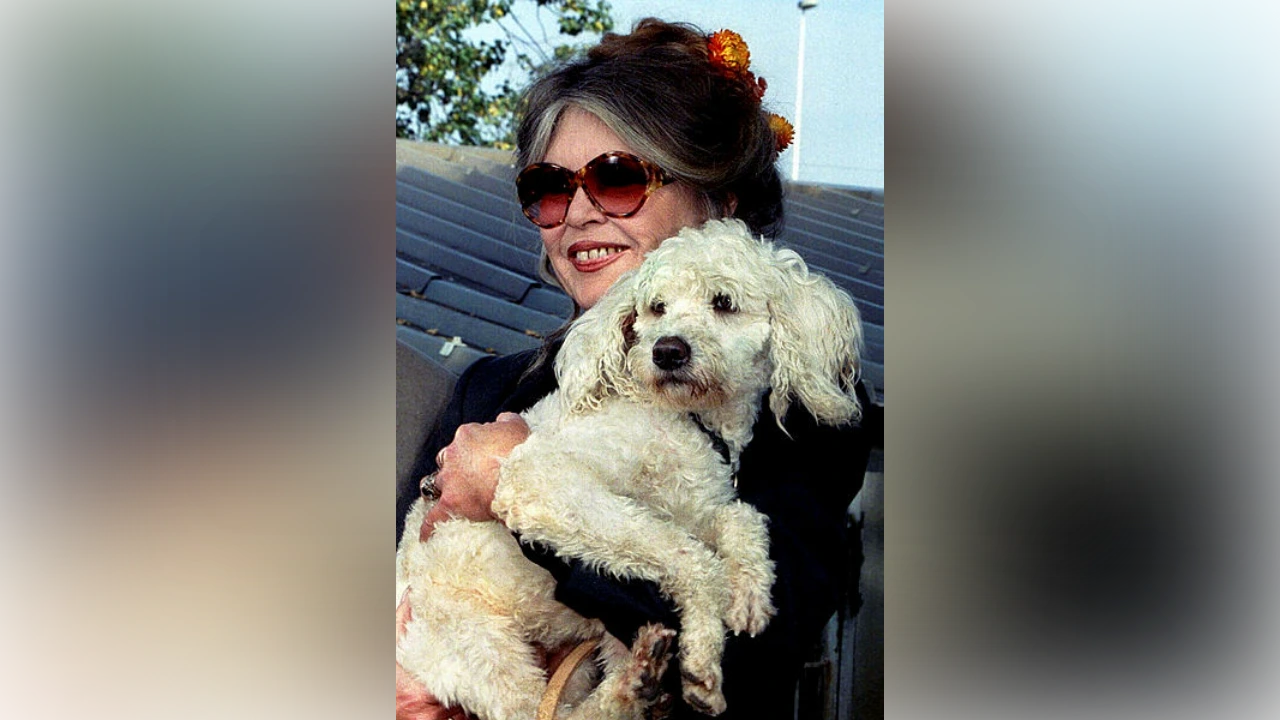 French film icon Brigitte Bardot dies at 91