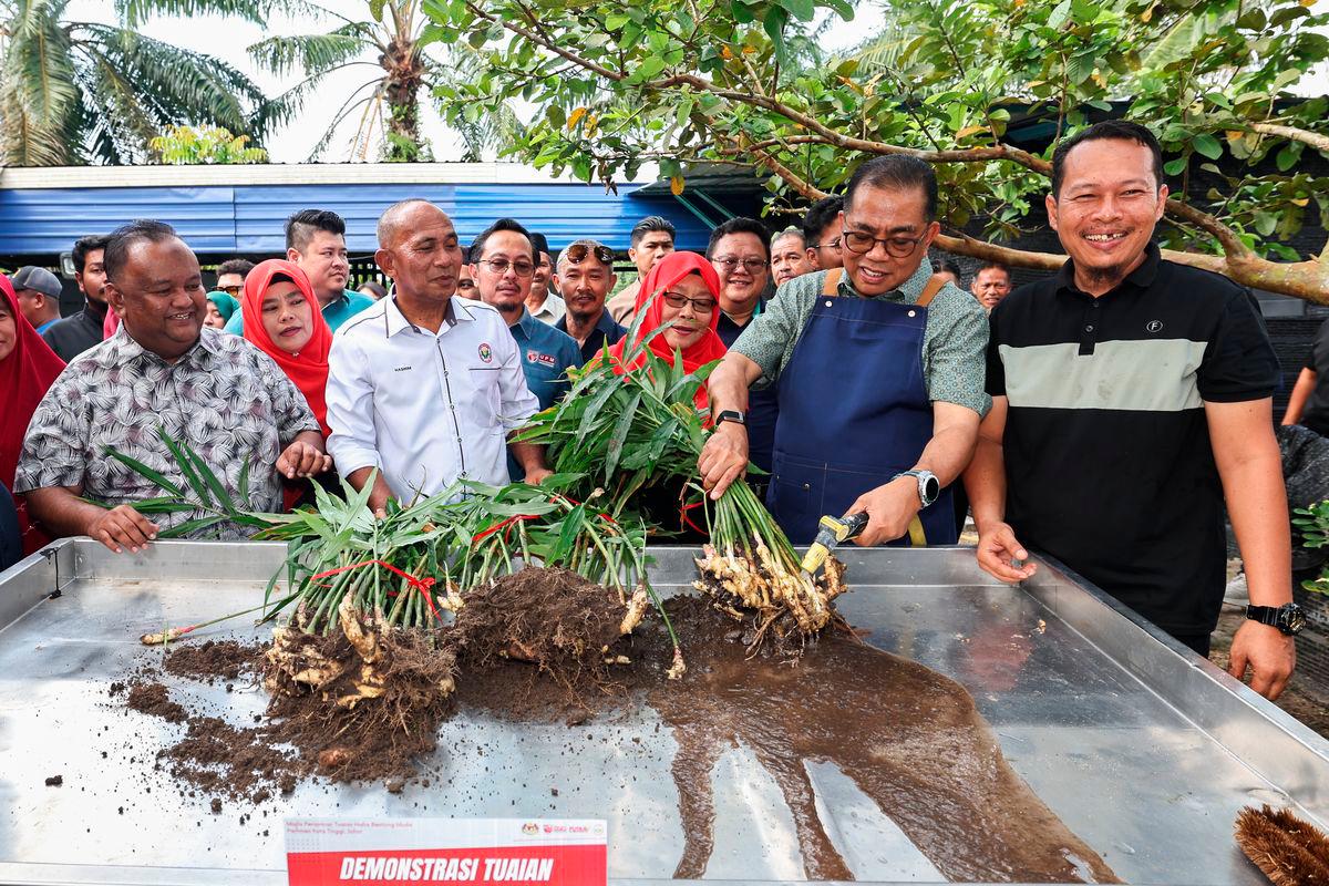 Bentong ginger to boost Kota Tinggi economy – Mohamed Khaled