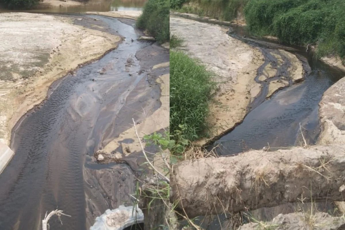 Johor probes Sungai Sayong pollution after river turns black