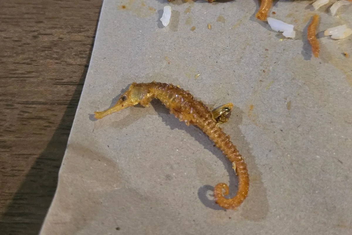 Nasi lemak turns exotic with tiny fried seahorse
