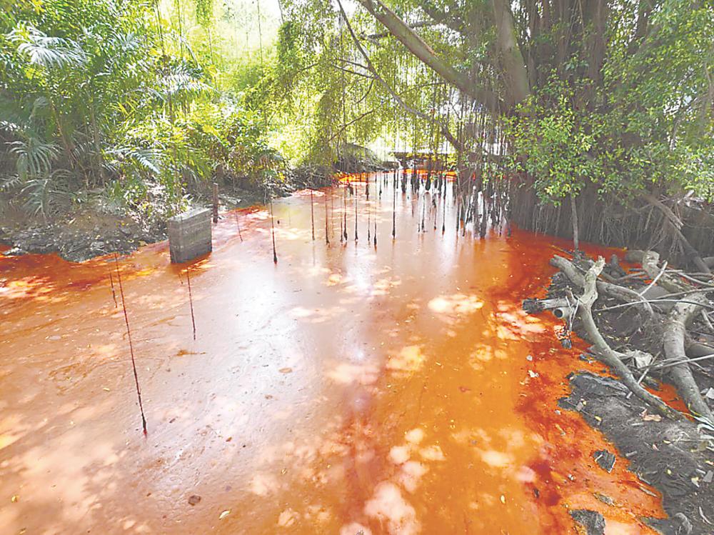 River pollution still prevalent despite regulations