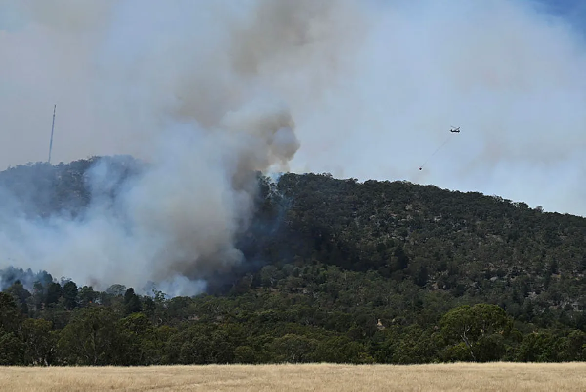 Australian bushfires raze homes, cut power to tens of thousands