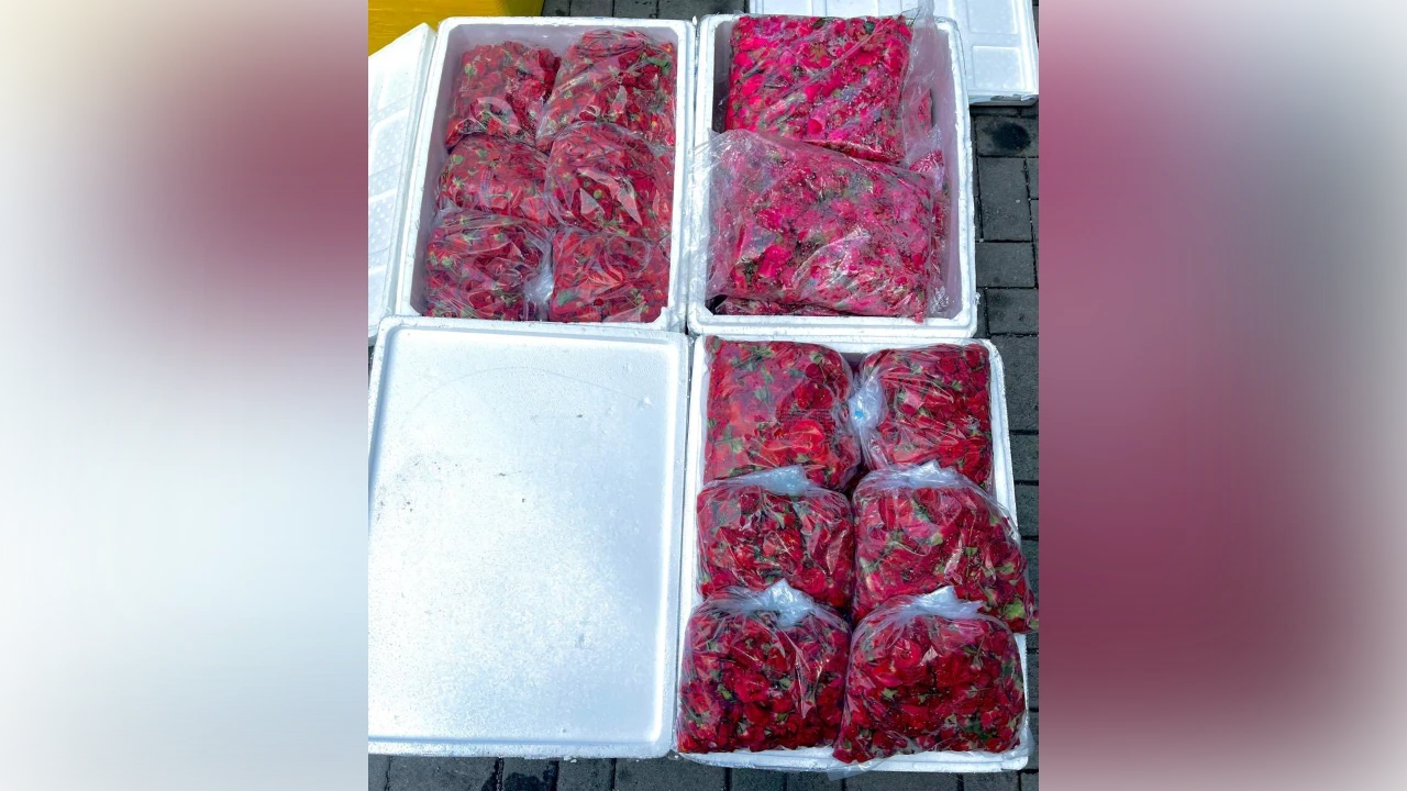Malaysian border agency seizes 46kg of Indian roses without permit