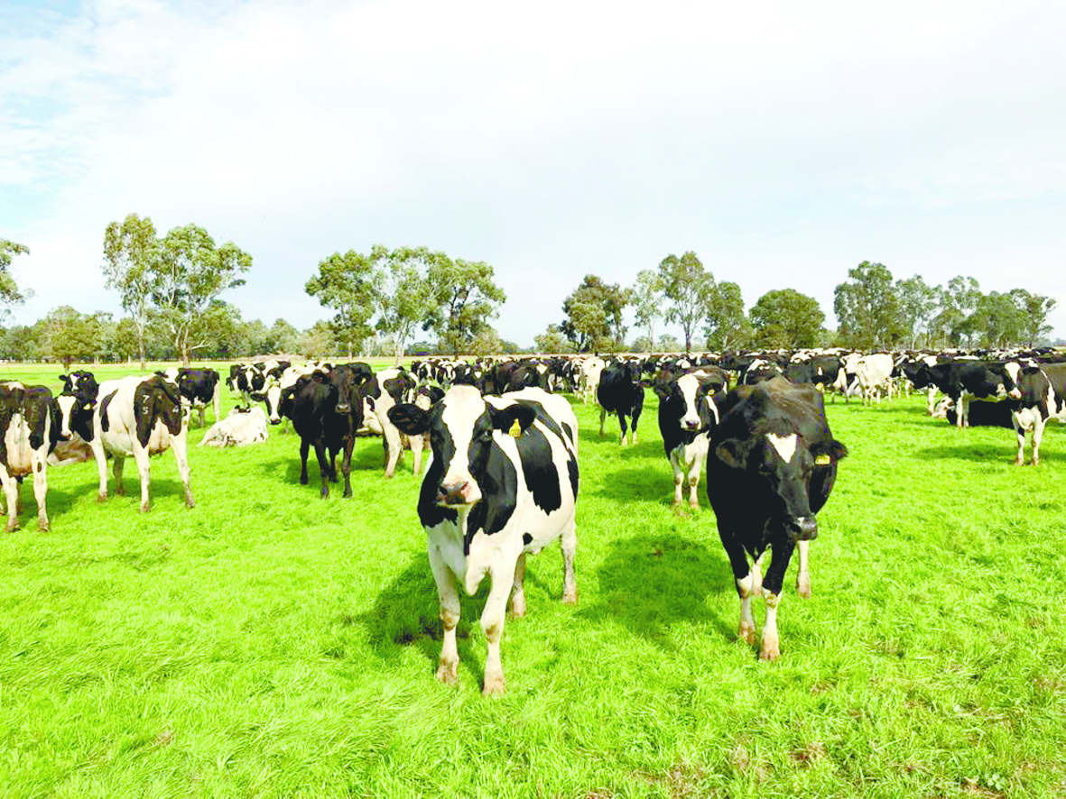 Farm Fresh posts strong 9M growth, PBT up 34%