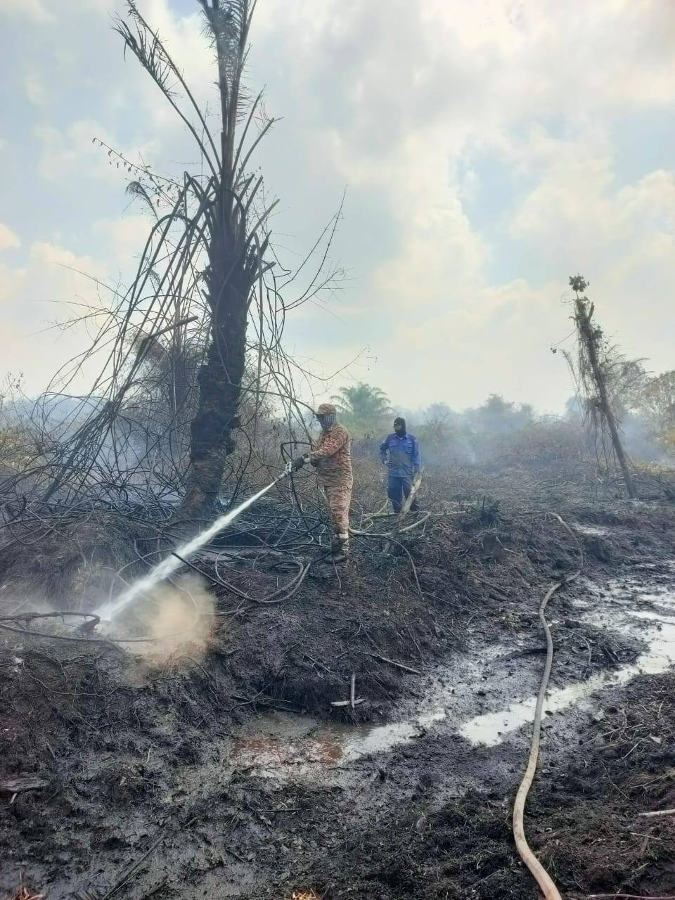 Pahang fire crews extinguish 173 hectares of peat forest blaze - Newswav