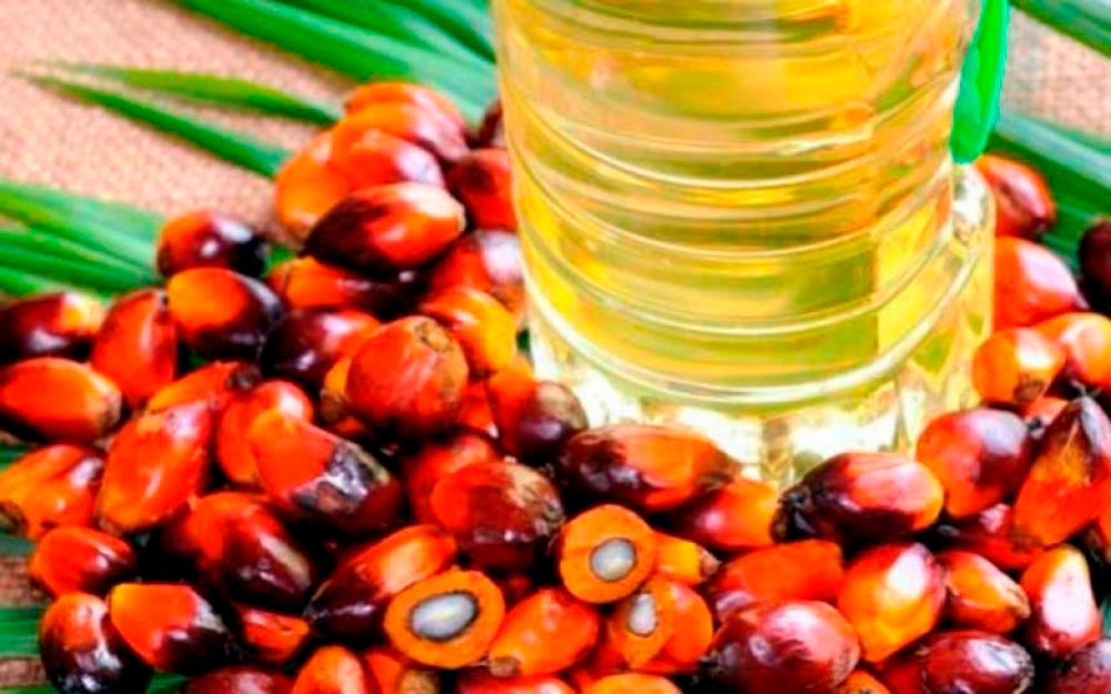 MPOC supports enforcement action against ‘No Palm Oil’ labels