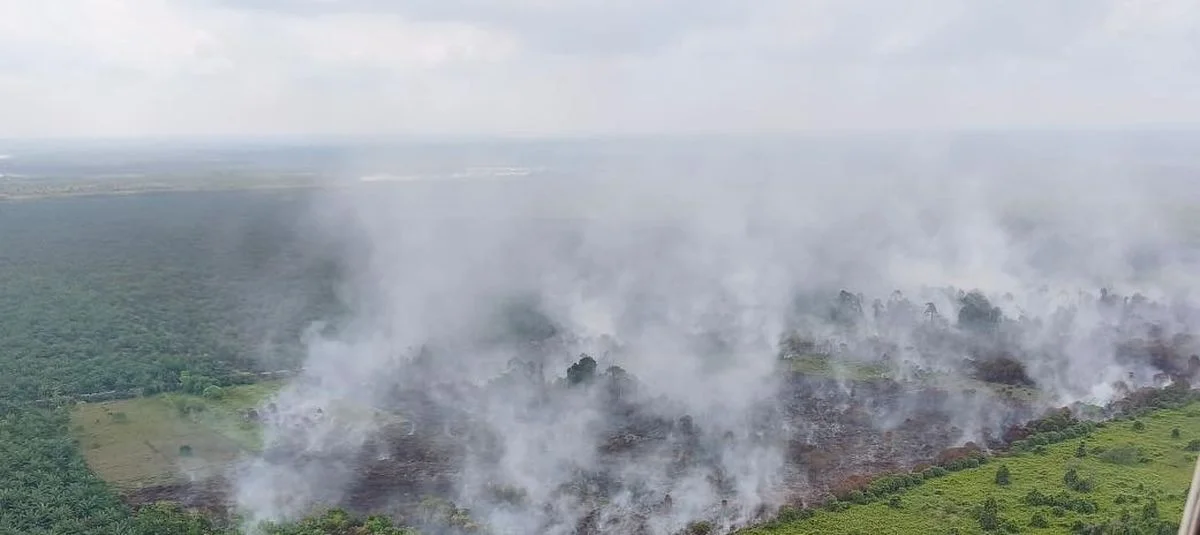 Sarawak bush and peat fires under control after aerial operations - Newswav