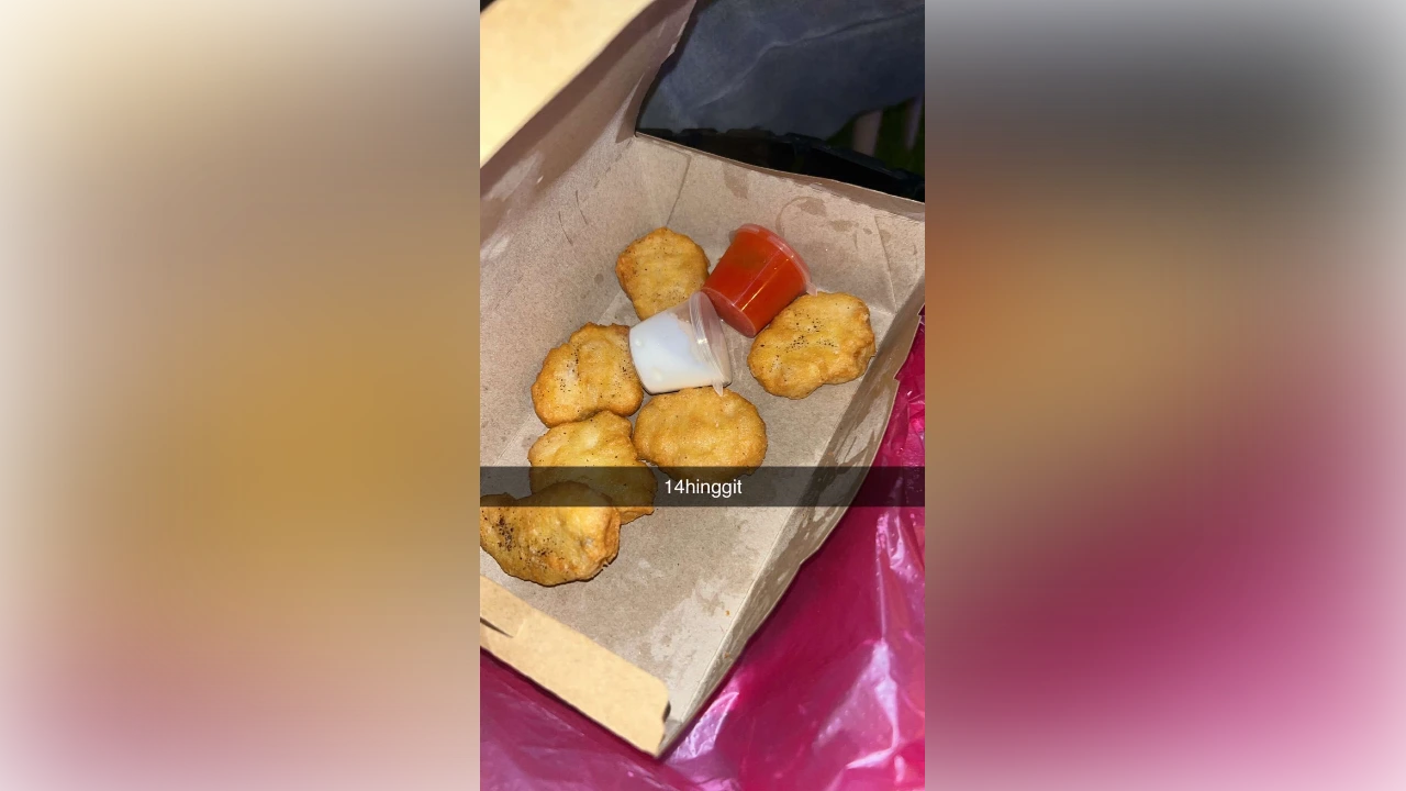 ‘Not even presentable!’ Netizens roast RM14.20 for 6 tiny nuggets in JB